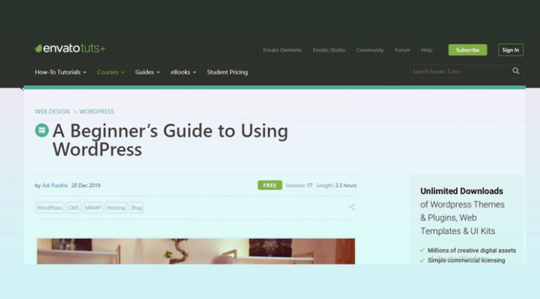 12 Best WordPress Training Resources to Learn in 2025
